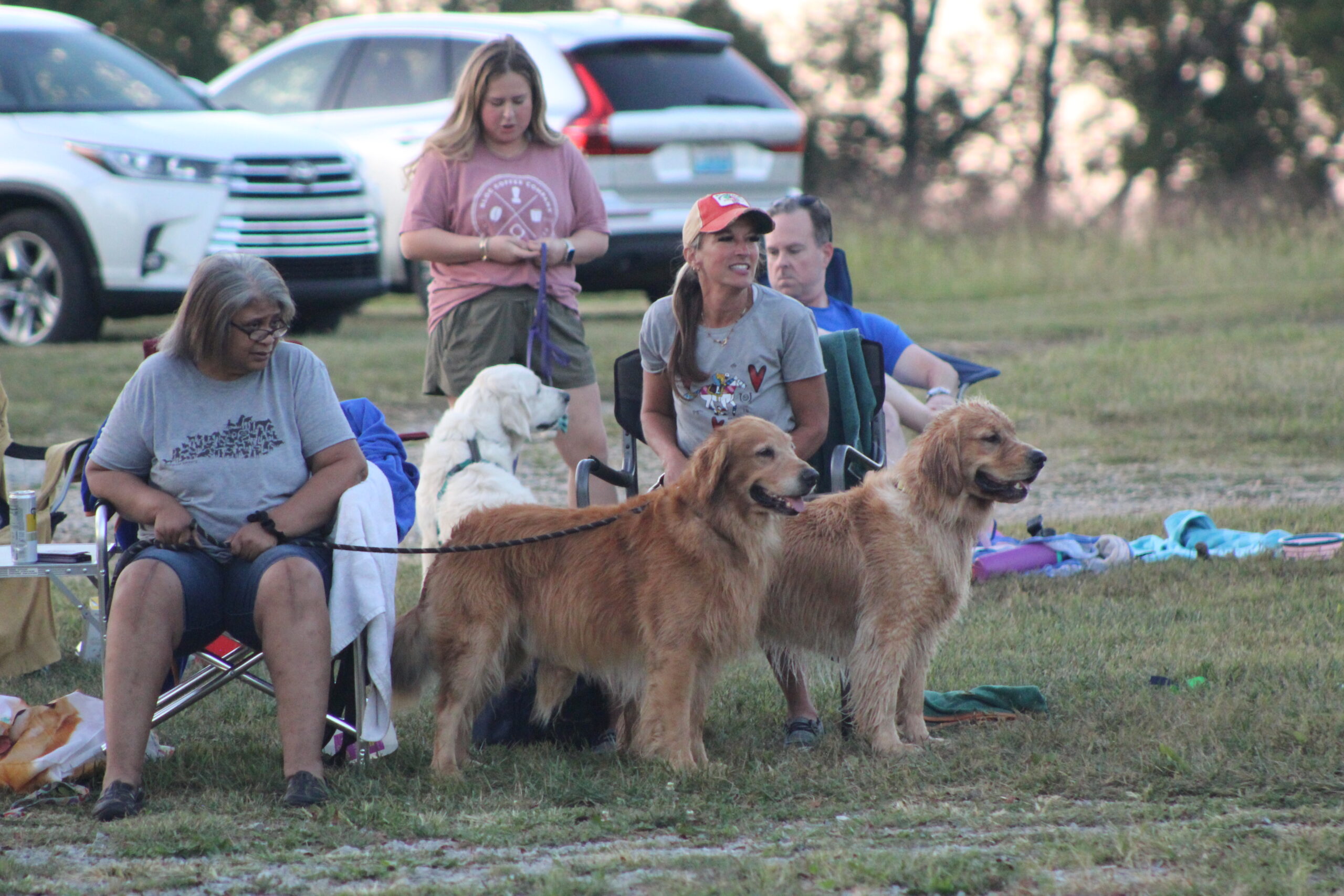 Dock and Pool | Manners Matter Dog Training and Daycare